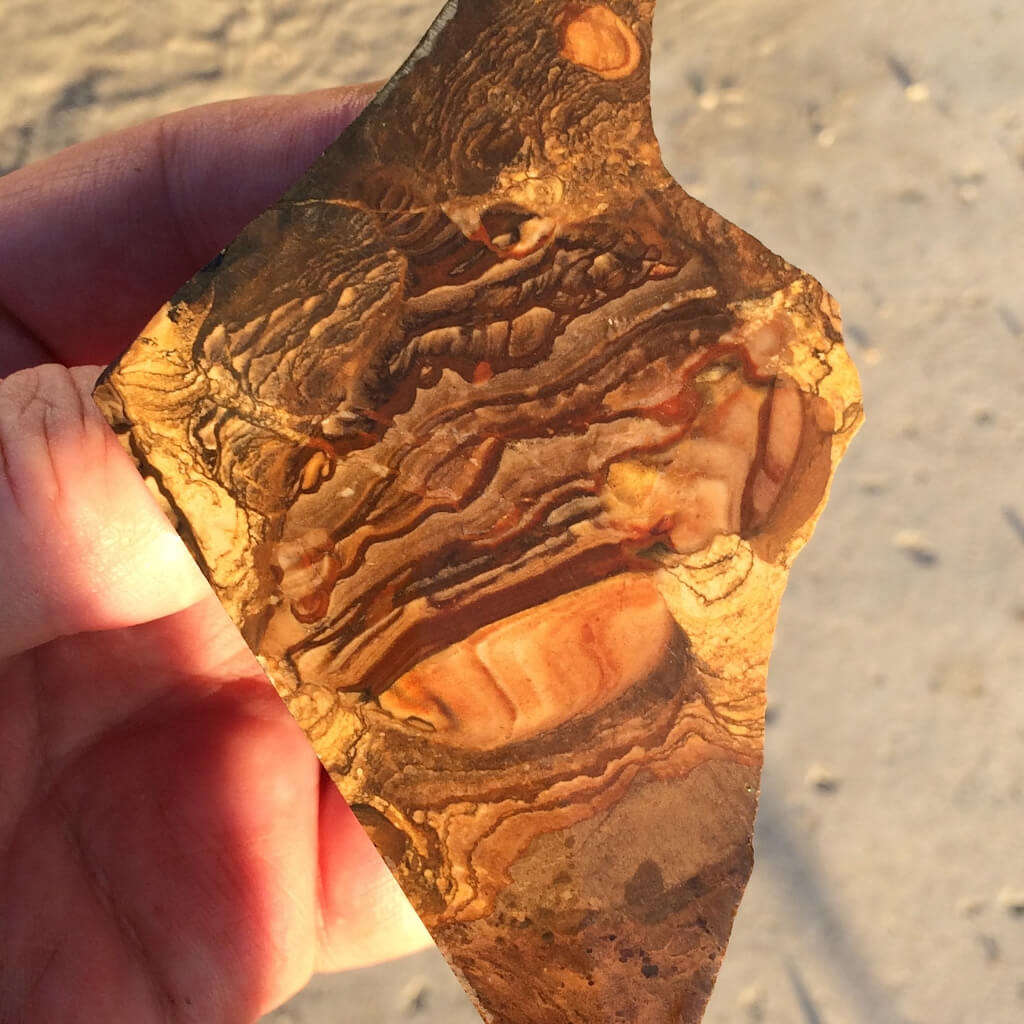 Biggs Jasper - Lapidary Slab