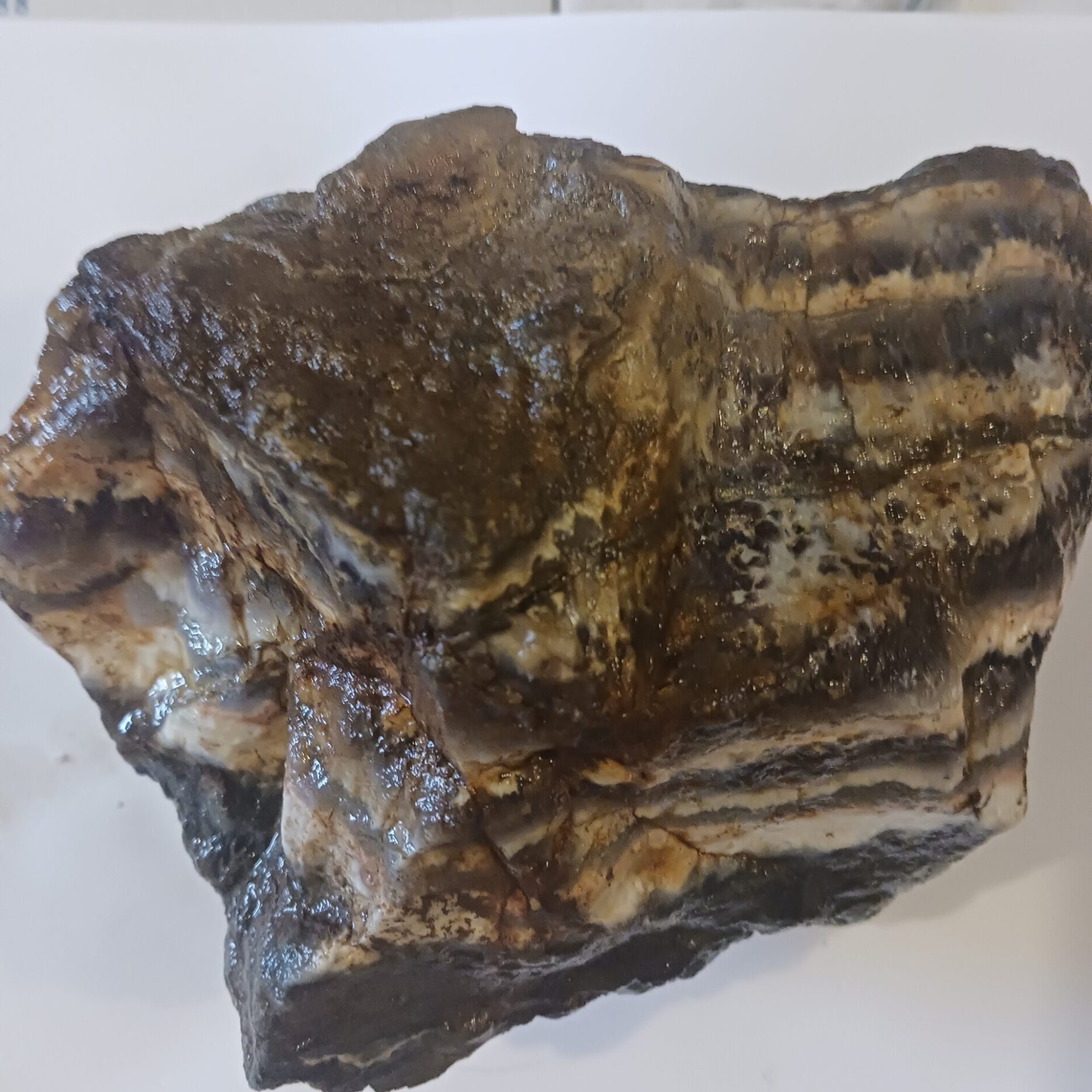 Durango Amethyst Lace Agate - Lapidary Slab