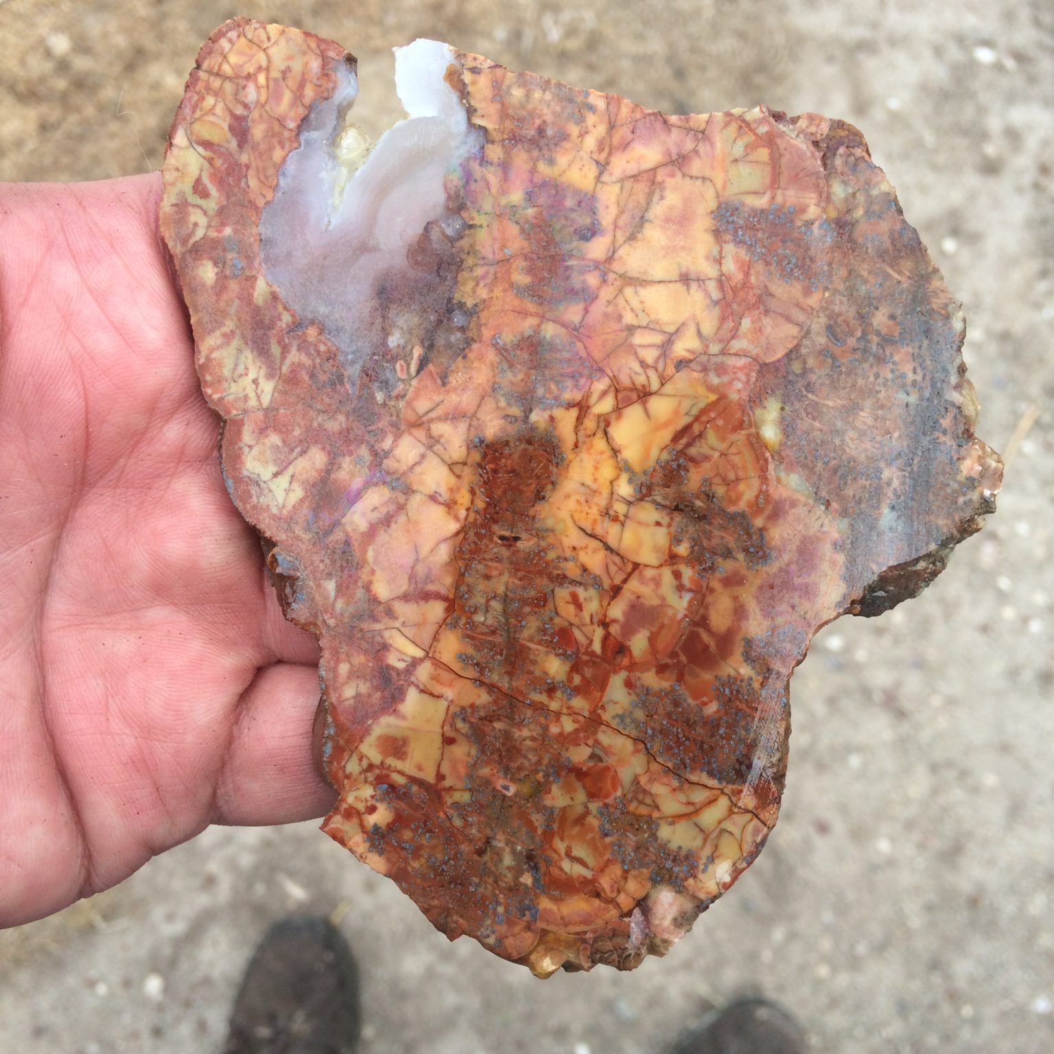 Cold Mountain Jasper - Lapidary Slab