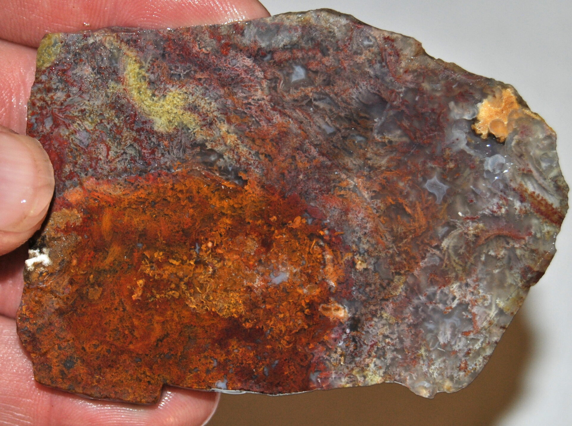 Beautiful Red Jasper/Agate - Lapidary Slab