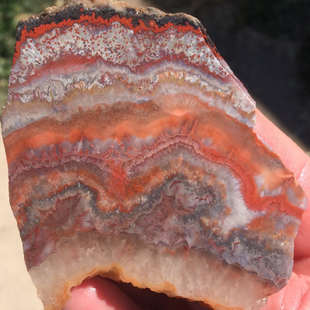 Mexican Red Lace Agate - Lapidary Slab