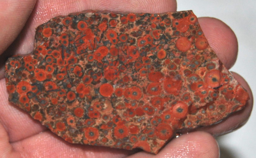 New Poppy Jasper - Lapidary Slab
