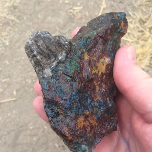 Parrot Wing Chrysocolla - Lapidary Slab
