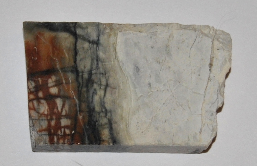Picasso Marble - Lapidary Slab