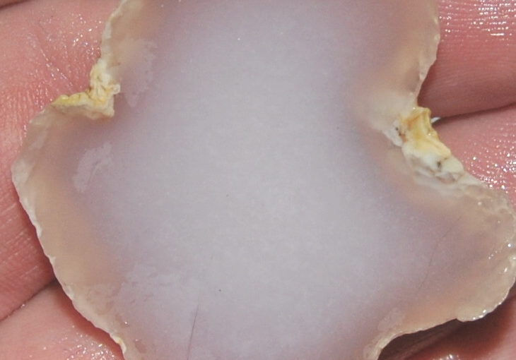 Pink Limb Cast - Lapidary Slab