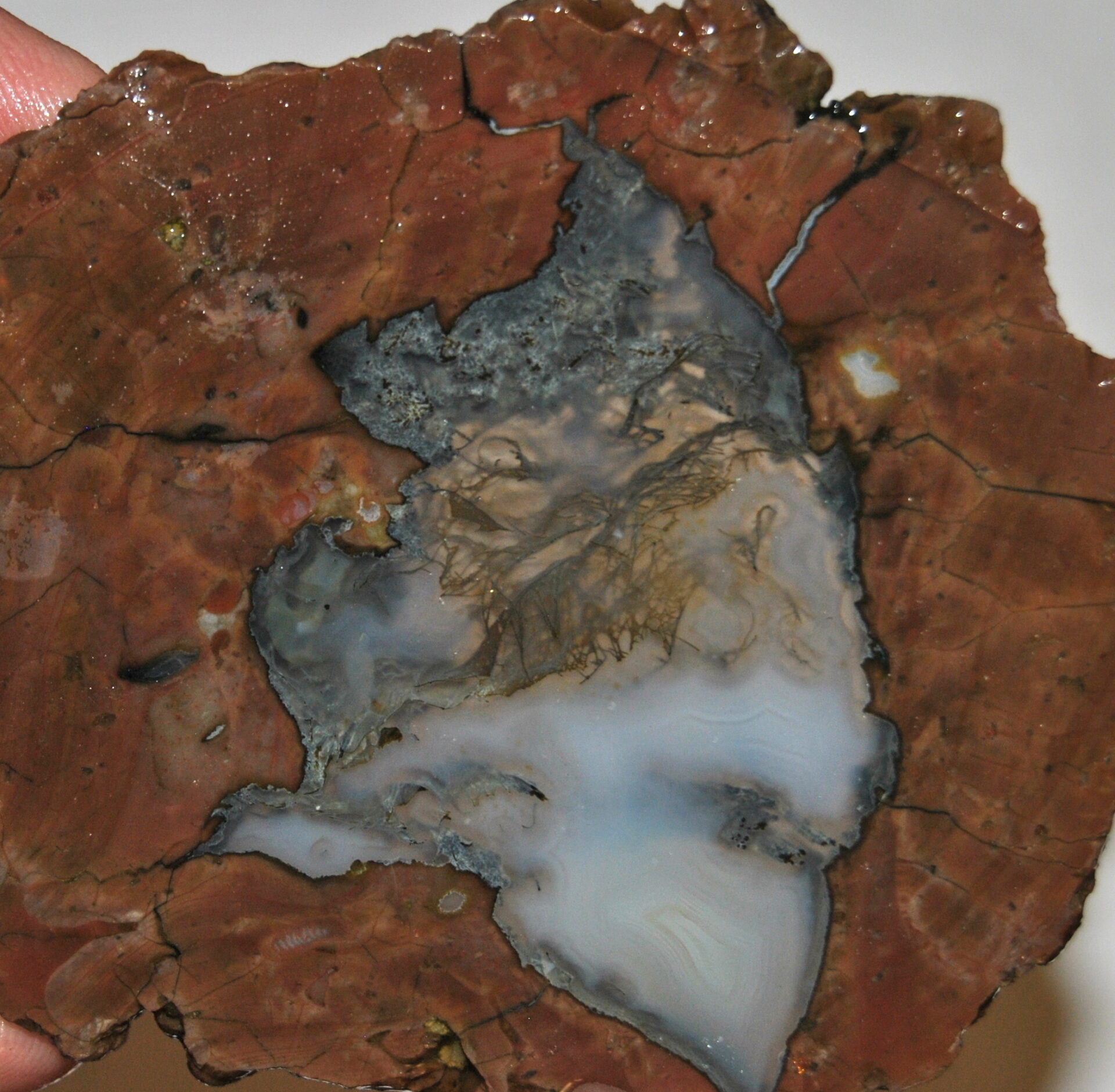 Priday Moss Agate (Thunderegg) - Lapidary Slab