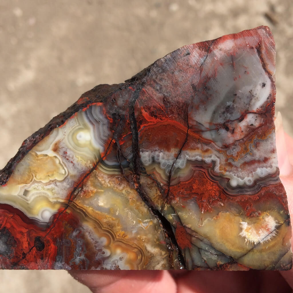 Red Crazy Lace Agate - Lapidary Slab