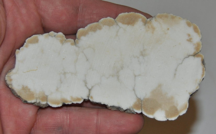 Tick Canyon Howlite - Lapidary Slab