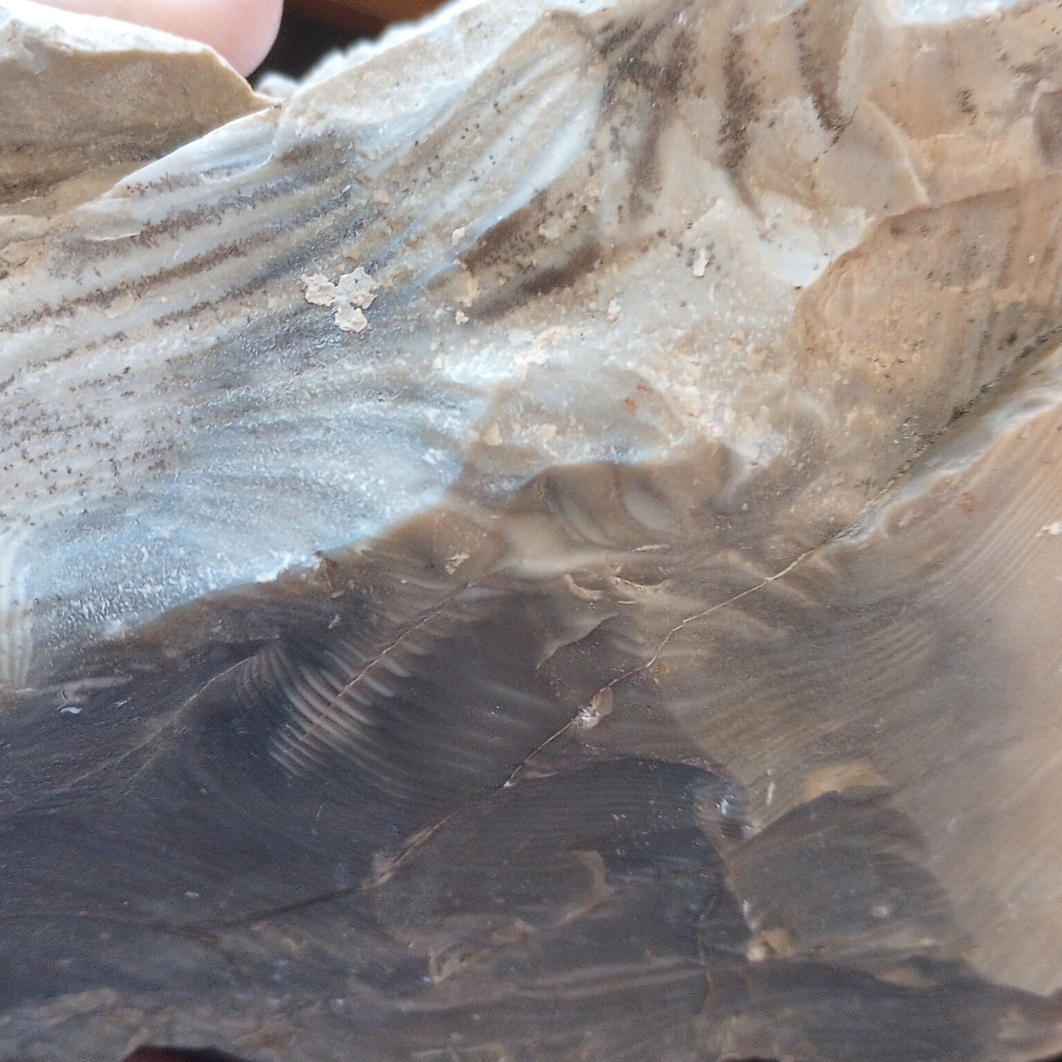 What is the difference between Jasper, Agate, Chalcedony, Flint, and ...